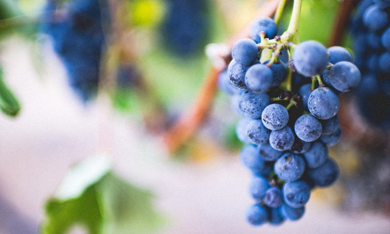 Radio Lippe Gutscheinbox